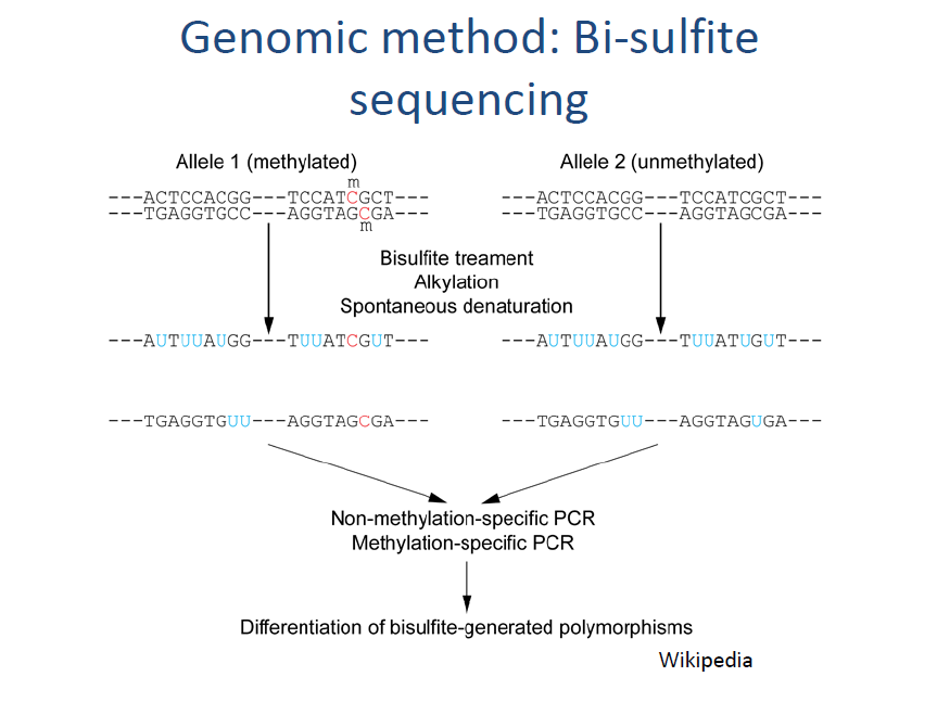 Genomic Method: Bi-Sulfite Sequencing