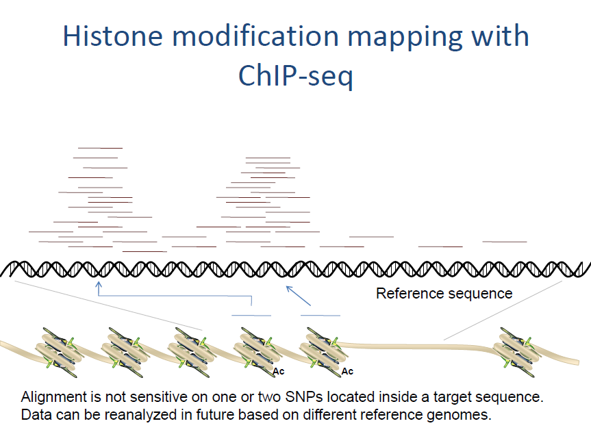 Histone Modification Mapping with ChIP-Seq