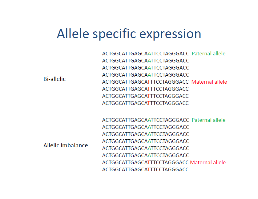 Allele Specific Expression II